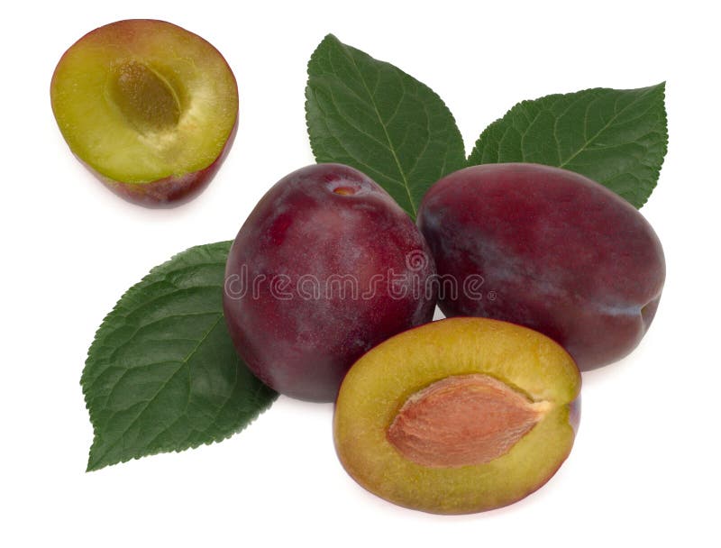 Three Plums with Plum Leaves on White Background. Stock Photo - Image ...