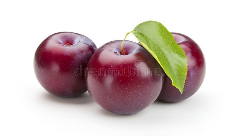 Three Plums with Plum Leaves on a White Background Stock Photo - Image ...