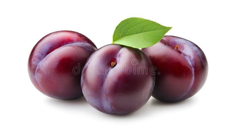 Three Plums with Plum Leaves on a White Background Stock Photo - Image ...
