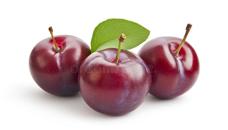 Three Plums with Plum Leaves on a White Background Stock Image - Image ...