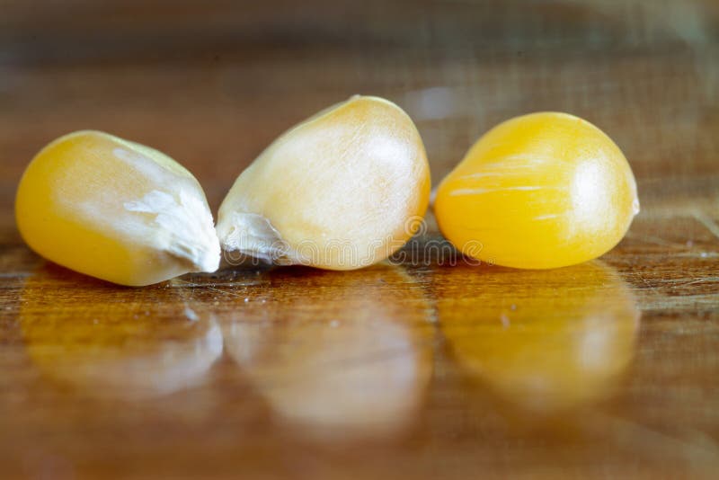 Three pop corn grains stock photo. Image of popping, lone - 51955930