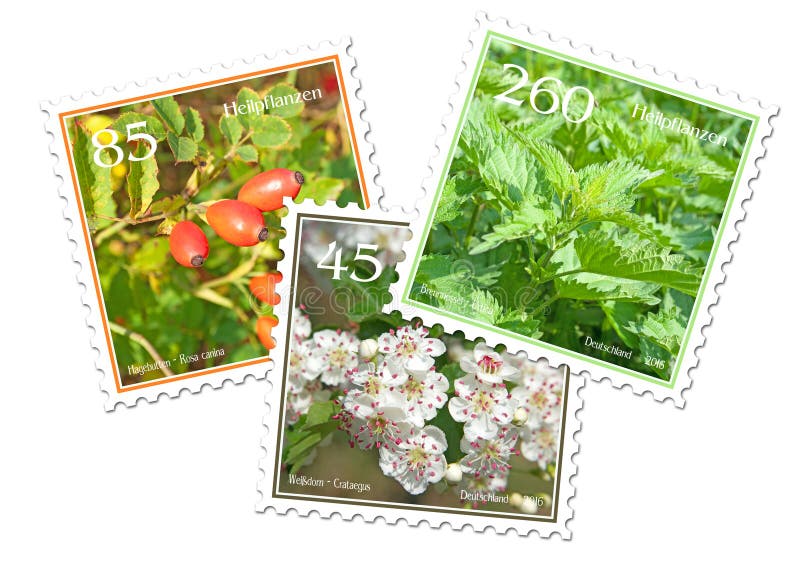 Three Postage Stamps with Medicinal Plants Stock Image - Image of ...