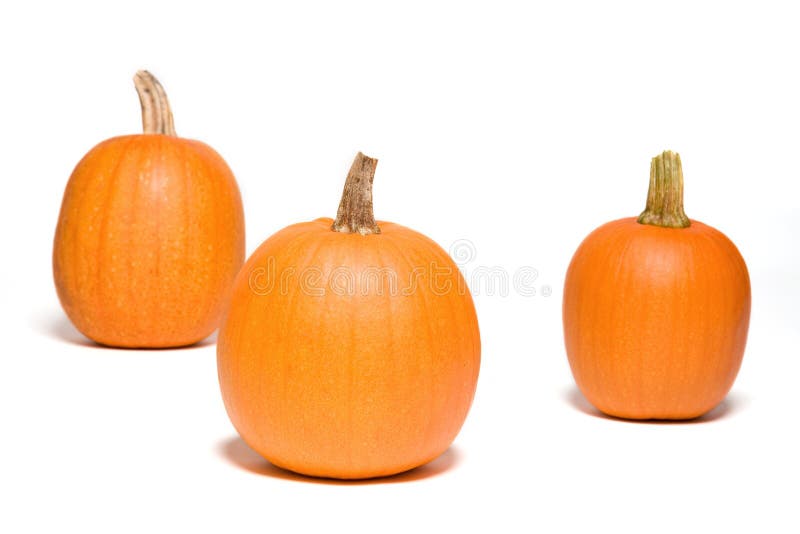 Three Pumpkins in the Garden in a Pile of Dry Tops. Harvesting in ...