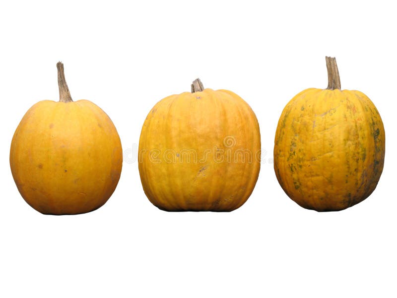 Three pumpkins stock image. Image of front, background - 11532489