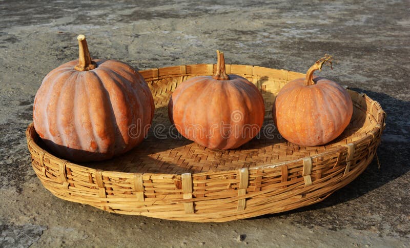The three pumpkins stock photo. Image of autumn, halloween - 84222262
