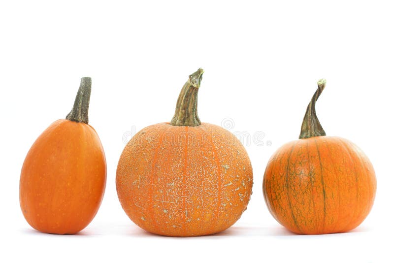 Three pumpkins isolated stock photo. Image of decorative - 50894854