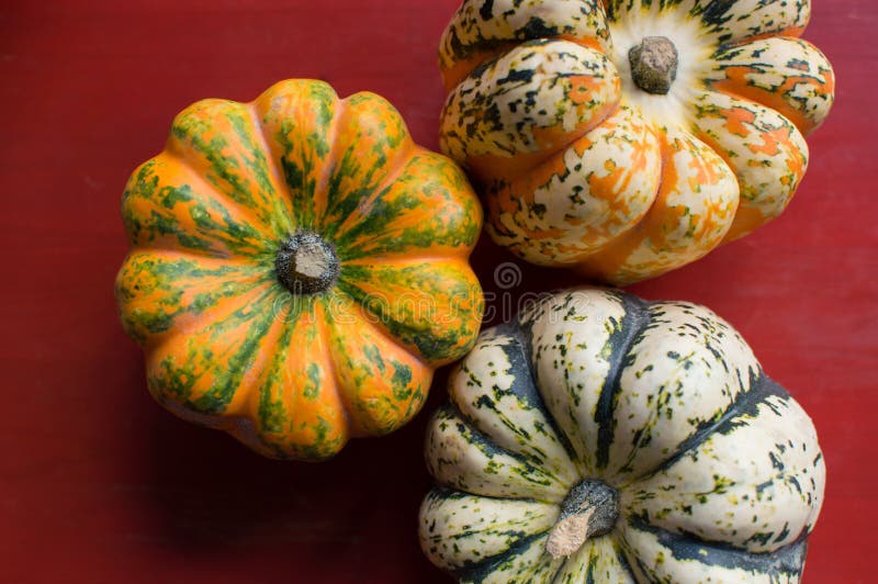 Three pumpkins stock image. Image of rustic, produce - 79158937
