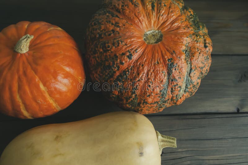 Three Pumpkins on a Wooden Table. Decorative Pumpkins. Autumn ...