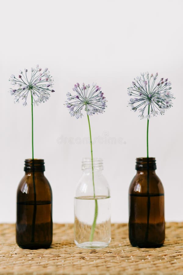 Three Purple Round Flowers in Glass Jars a Wicker Table Stock Image ...