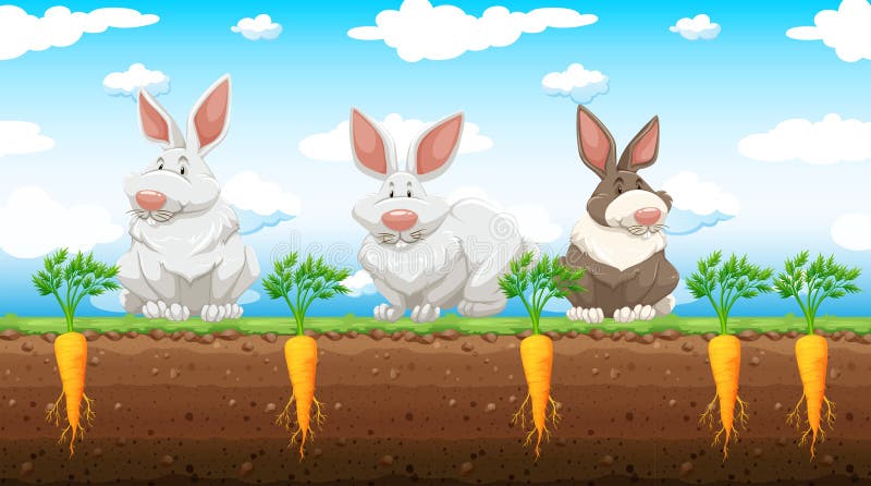 Three Rabbits Stock Illustrations – 441 Three Rabbits Stock ...