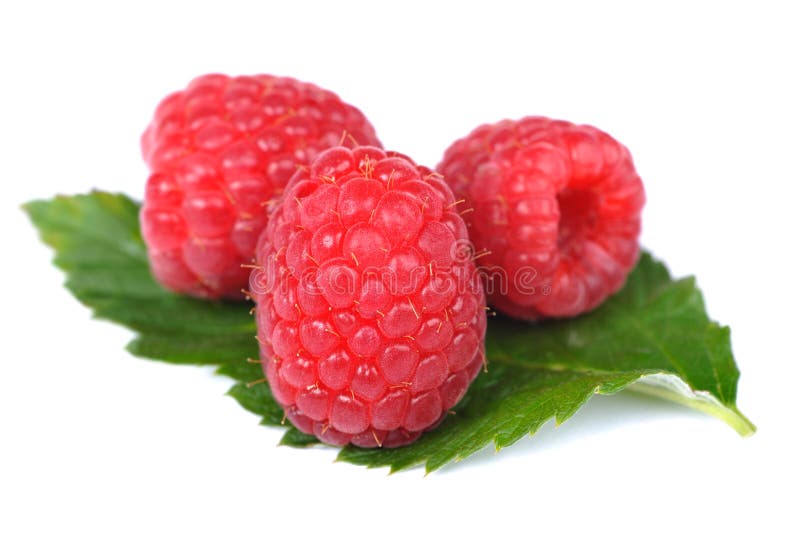 Three raspberries stock image. Image of raspberries, closup - 16286331