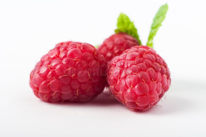 Three Raspberries Grouped stock photo. Image of healthy - 31262722