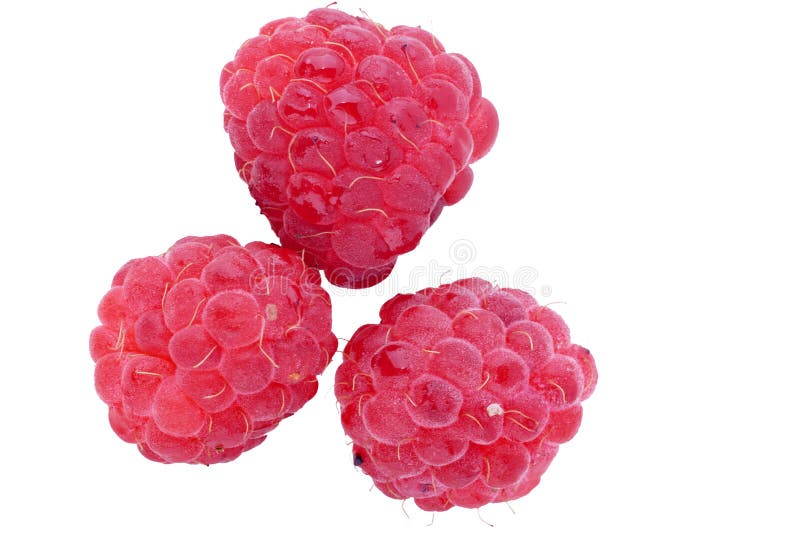Three raspberries on white stock image. Image of fruit - 3146091