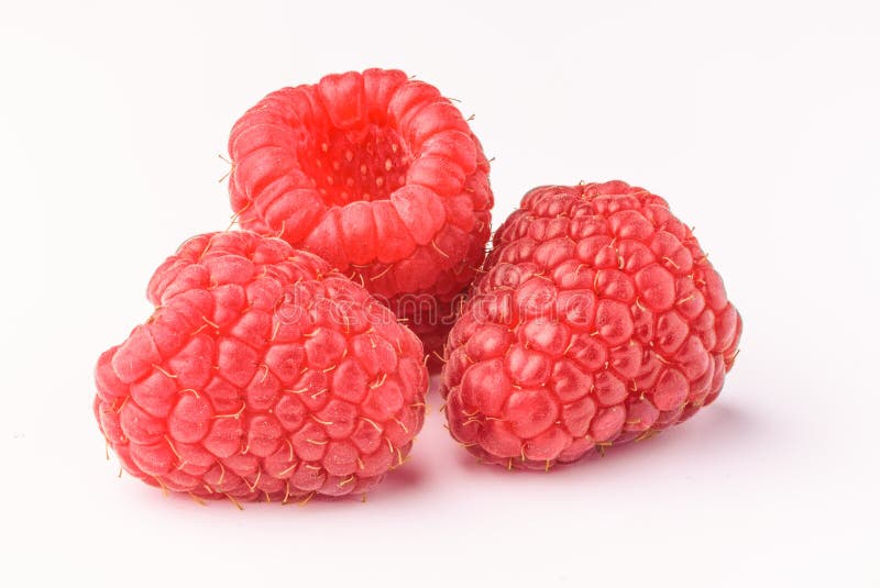 Three raspberries stock image. Image of vitamin, ingredient - 111313649