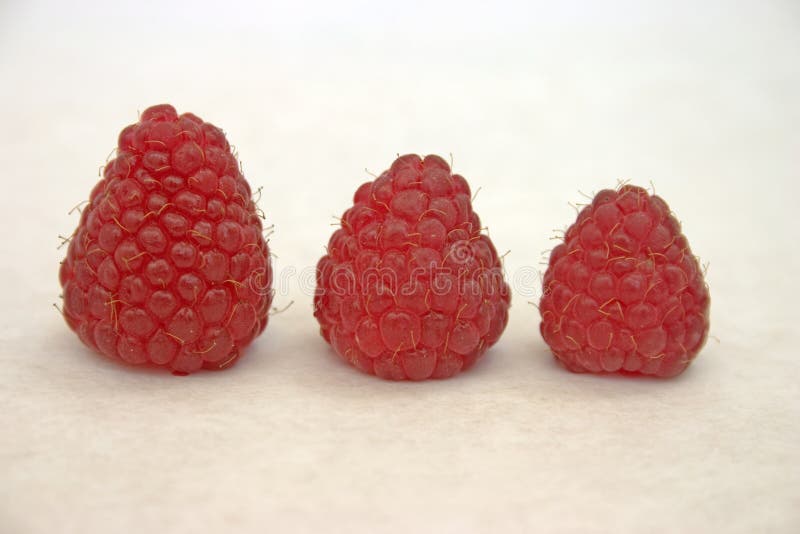 Three raspberry stock photo. Image of dessert, healthy - 10790836