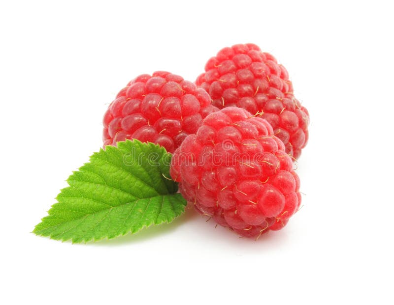 White raspberry fruits stock image. Image of meals, nutrition - 25328057