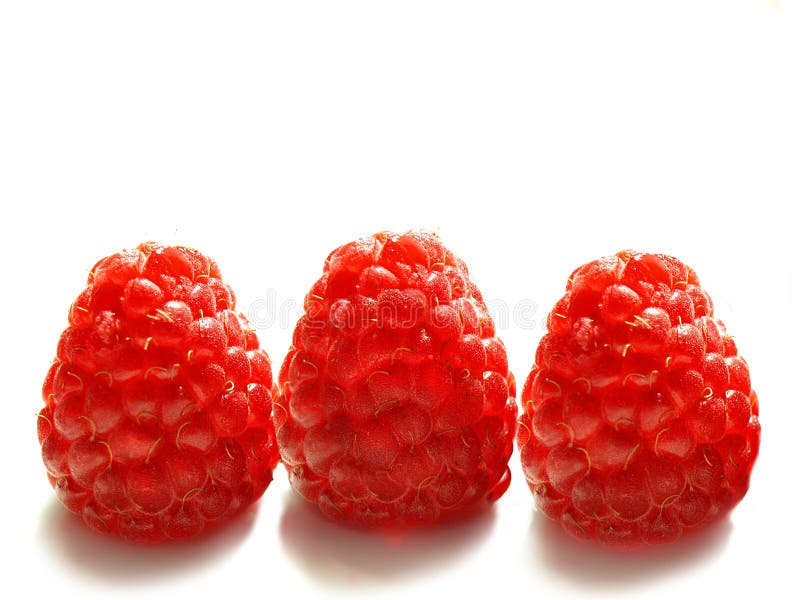 Three raspberry berries stock photo. Image of eating - 123757828