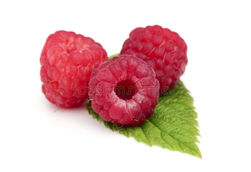 Raspberry fruit stock photo. Image of berry, ingredient - 21923524