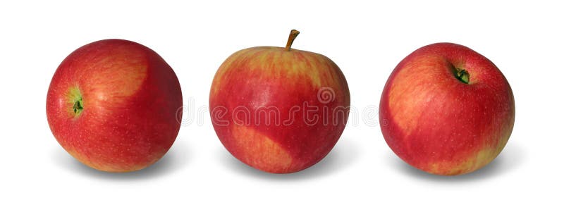 Three Red Apples stock image. Image of eats, foods, healthy - 2032879