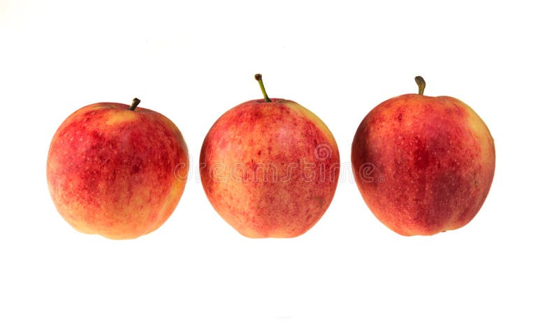 Three red apples. stock image. Image of ingredient, nutritious - 21637753