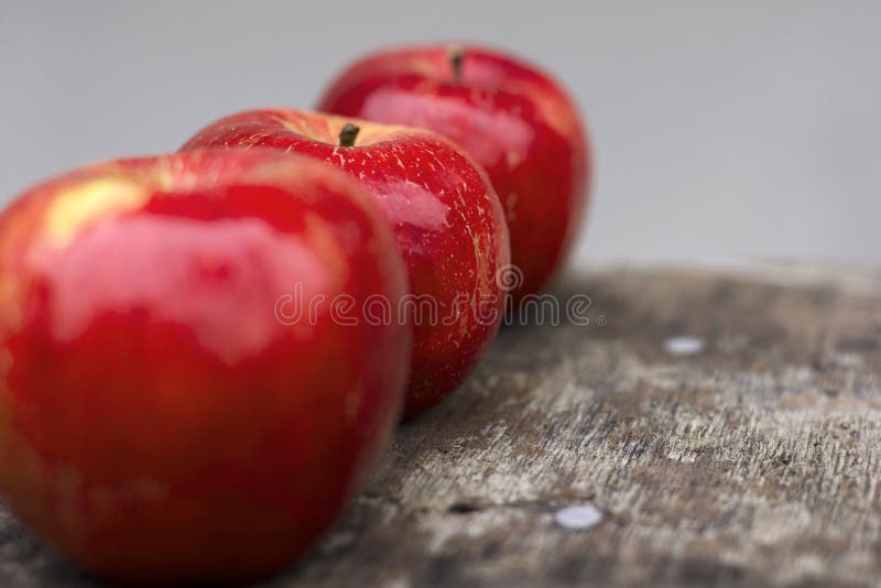 Three Red Apples on a Gray Background. Fruit Stock Image - Image of ...