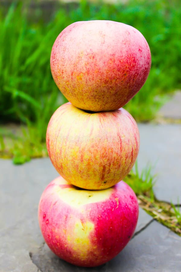 Three red apples pyramid stock photo. Image of apples - 117446712