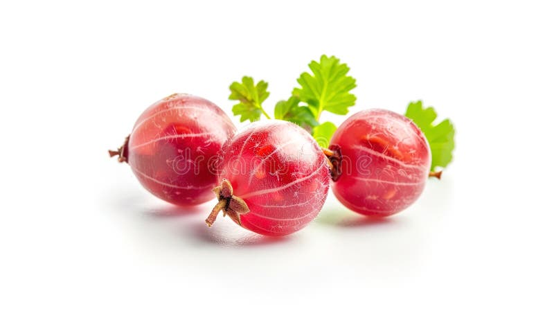 Three Red Berries with Green Leaves on Top Stock Illustration ...