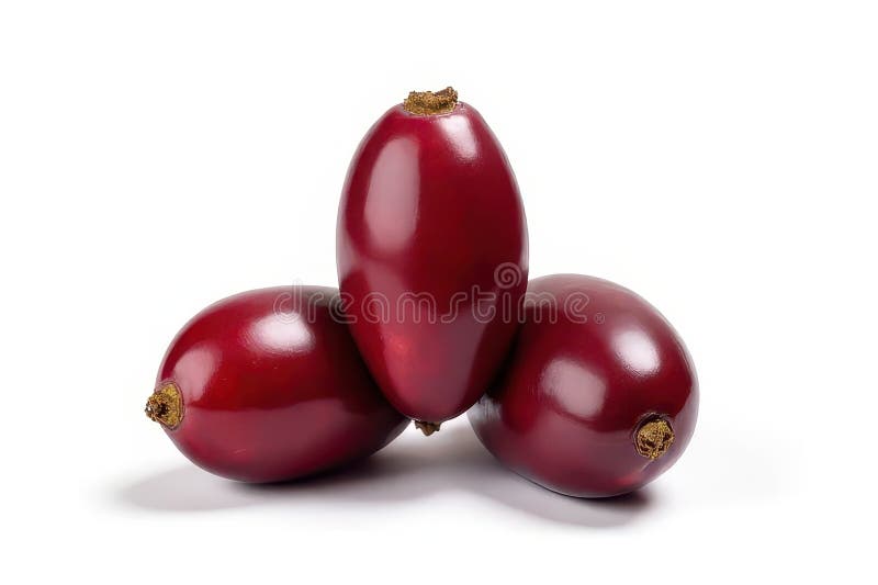 Three Red Berries stock illustration. Illustration of berries - 366830781