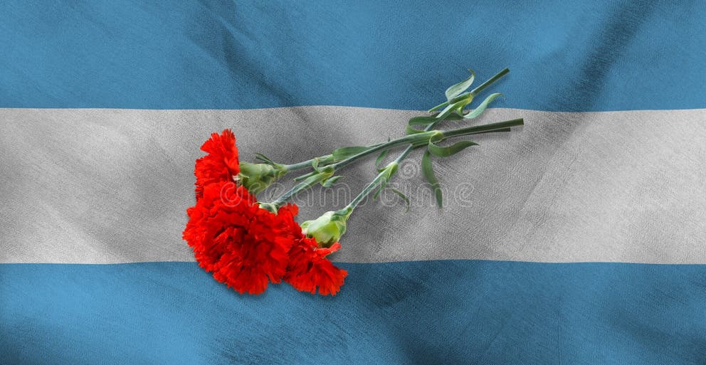 Three Red Carnations Lying on the Flag of Argentina Stock Image - Image ...