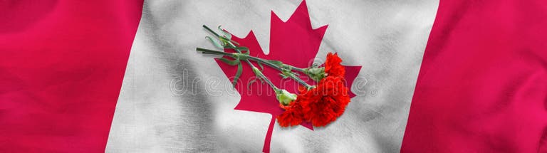 Three Red Carnations Lying on the Flag of Canada Stock Photo - Image of ...