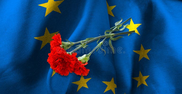 Three Red Carnations Lying on the Flag of the European Union Stock ...