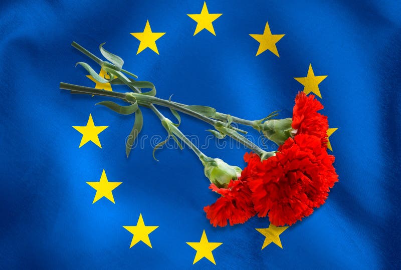 Three Red Carnations Lying on the Flag of the European Union Stock ...