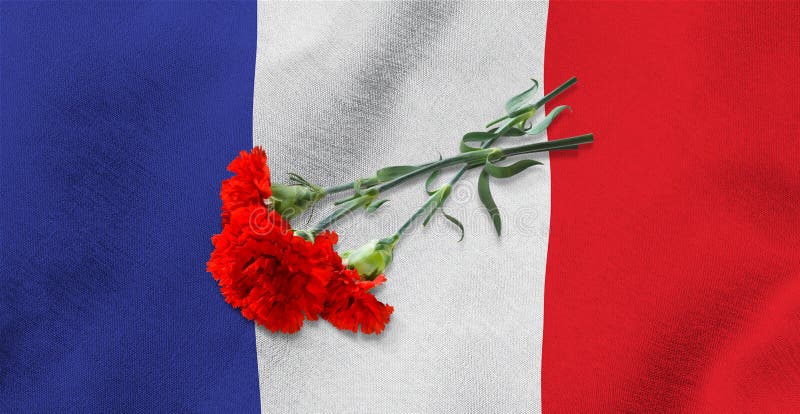 Three Red Carnations Lying on the Flag of France Stock Image - Image of ...