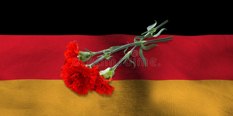 Three Red Carnations Lying on the Flag of Germany Stock Photo - Image ...