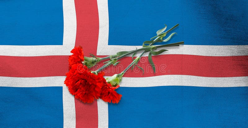 Three Red Carnations Lying on the Flag of Iceland Stock Photo - Image ...