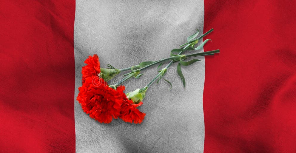Three Red Carnations Lying on the Flag of Peru Stock Image - Image of ...