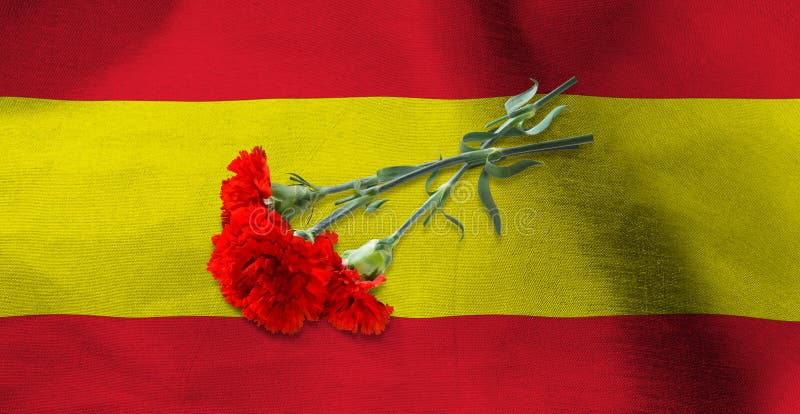 Three Red Carnations Lying on the Flag of Spain Stock Image - Image of ...