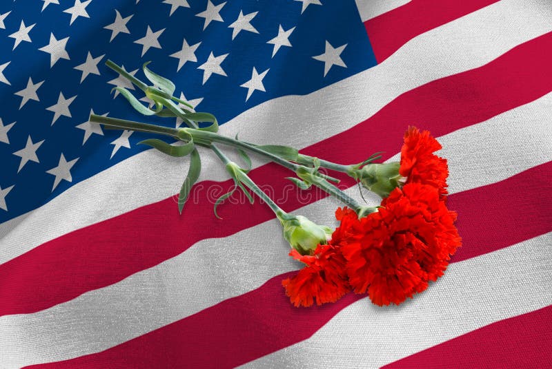 Three Red Carnations Lying on the USA Flag Stock Image - Image of ...