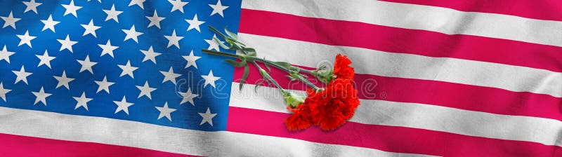 Three Red Carnations Lying on the USA Flag Stock Image - Image of ...