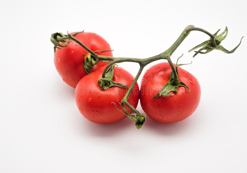 Three Red and Fresh Tomatoes on the Vine Isolated on White Stock Photo ...