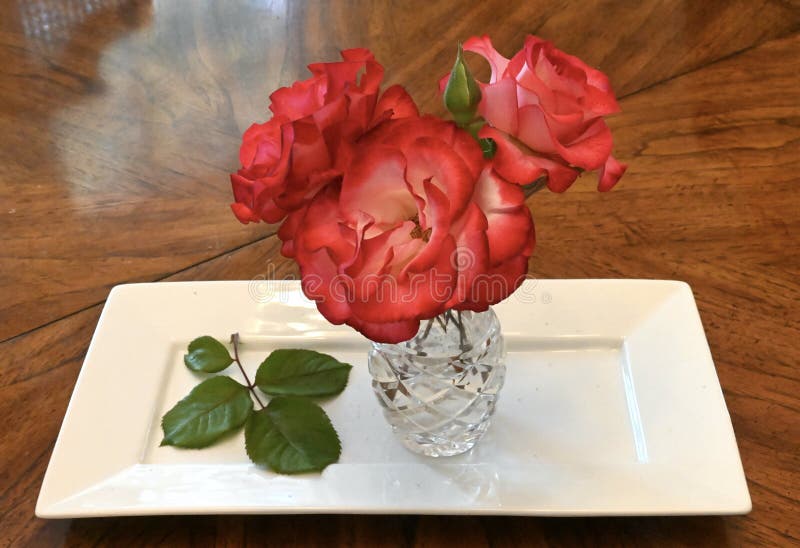 Three Red Roses in Vase stock photo. Image of porcelain - 219972496