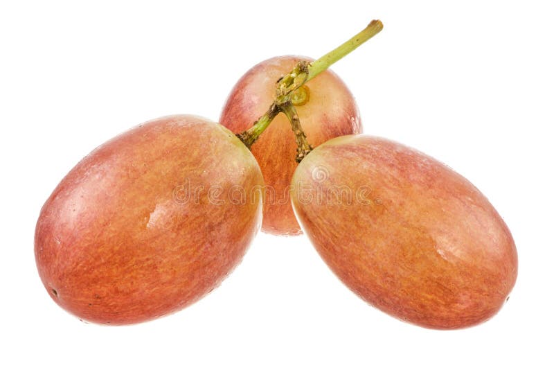 Three Red Isolated Grapes stock image. Image of delicious - 47291207