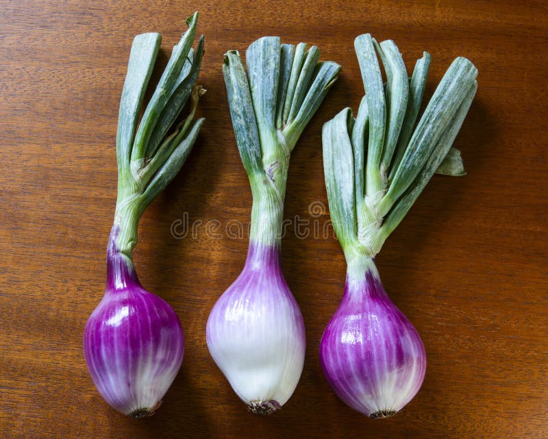 Three red onions stock photo. Image of freshness, eating - 55048646