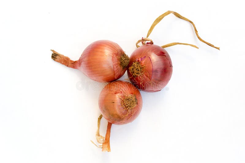 Three red onions stock photo. Image of vegetables, natural - 61780748