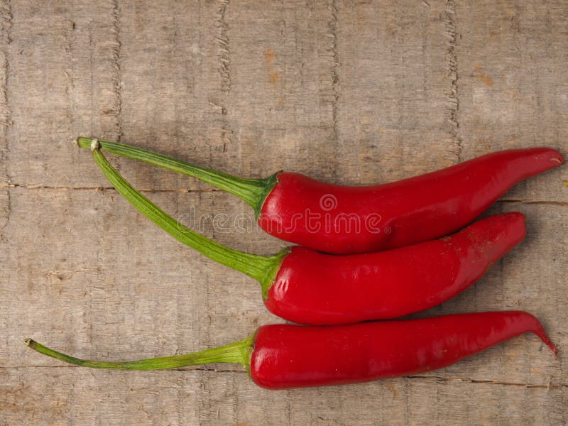 Three red pepperoni stock image. Image of organic, pepperoni - 92663327