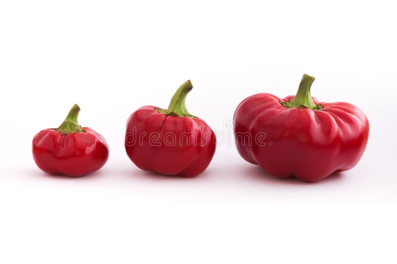 Three Red Peppers Lined Up in Order of Growth on a White Background ...