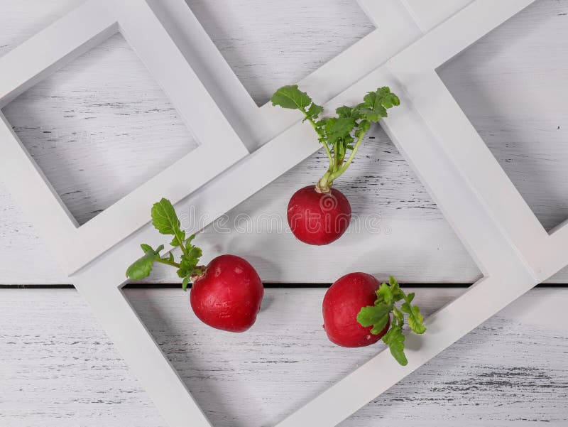 Three Red Radishes in a Frame. Stock Photo - Image of inside, concept ...