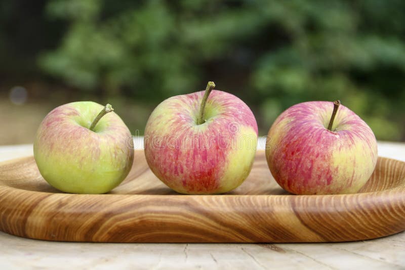 Three Apples on Wooden Plate Close-up Stock Photo - Image of color ...