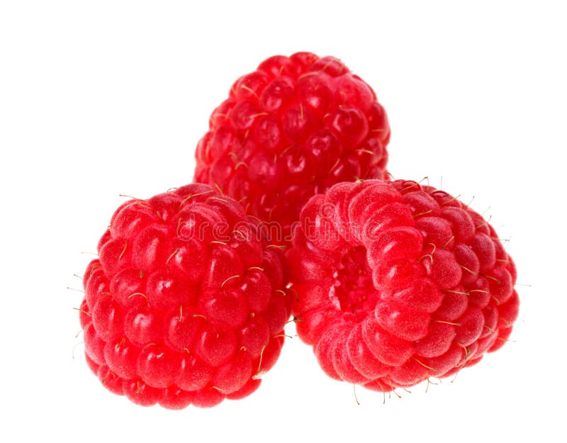 Three Red Ripe Raspberry Fruit Stock Image - Image of delicious ...