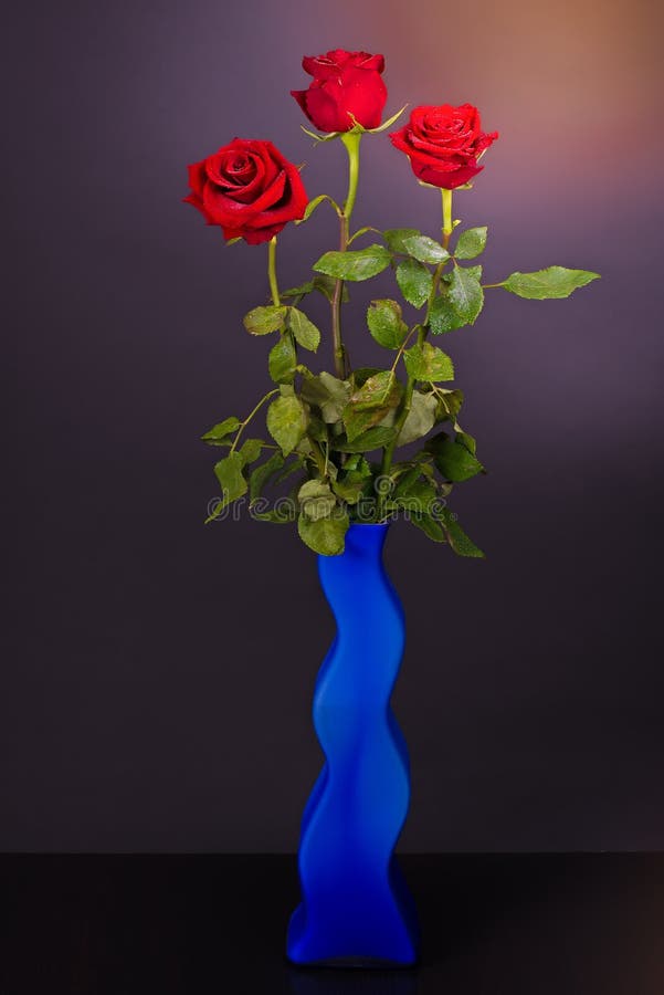 Three Red Roses in a Blue Vase on a Dark Background, Photo in a Low Key ...